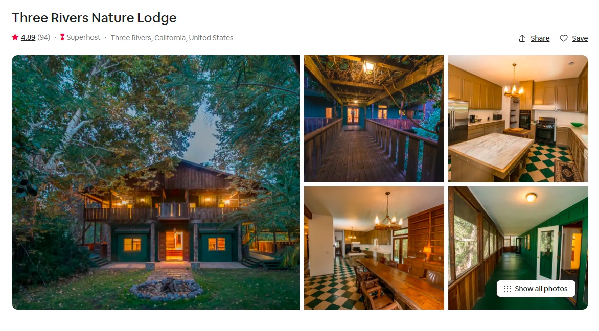 How to Plan a Sequoia National Park Wedding - Stephan & Adriana